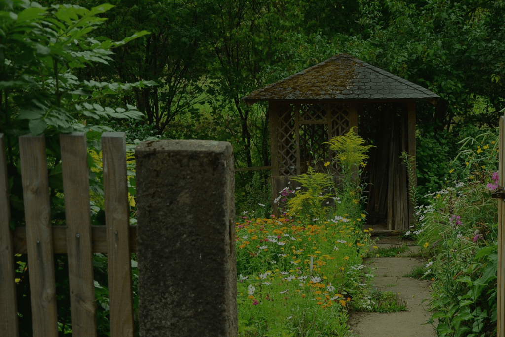 Magic Garden - The Witch's Library