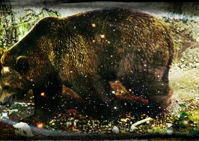 Watch this free photo editing tutorial video