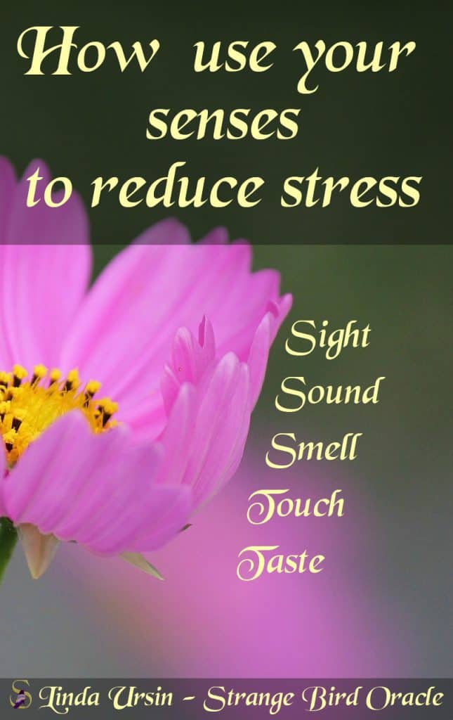 Engage your senses to get stress free by Linda Ursin