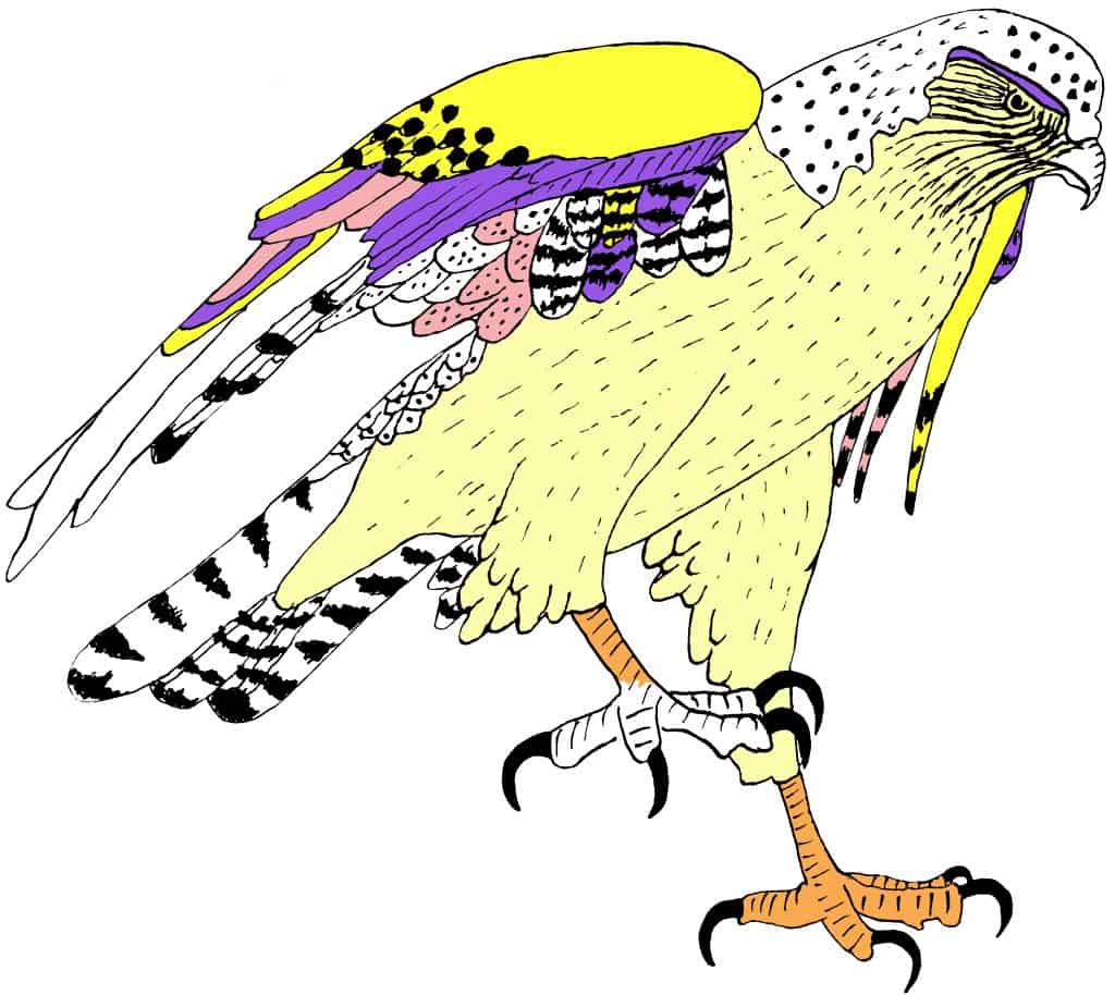 Coloring Book - Strange Birds