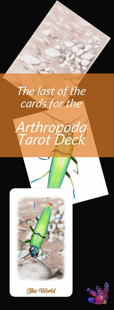 Celebrating the Last Bug in the Tarot Deck