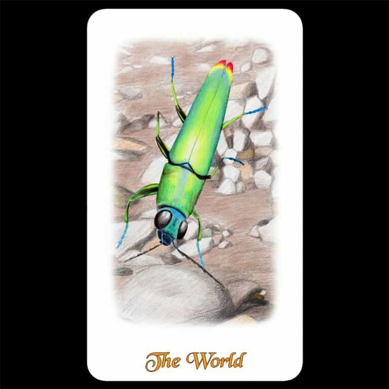 Celebrating the Last Bug in the Tarot Deck