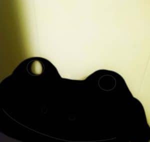 frog shadow 2 - Linda Ursin - Mythical Artist