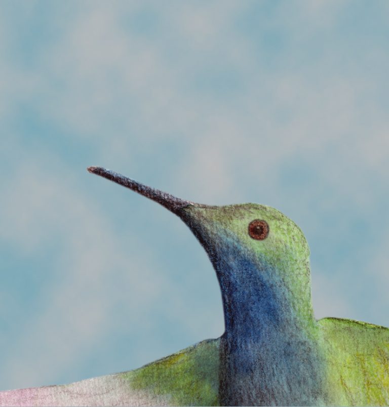 Hummingbird Facts, Folklore and Spirit Animal Info by Linda Ursin